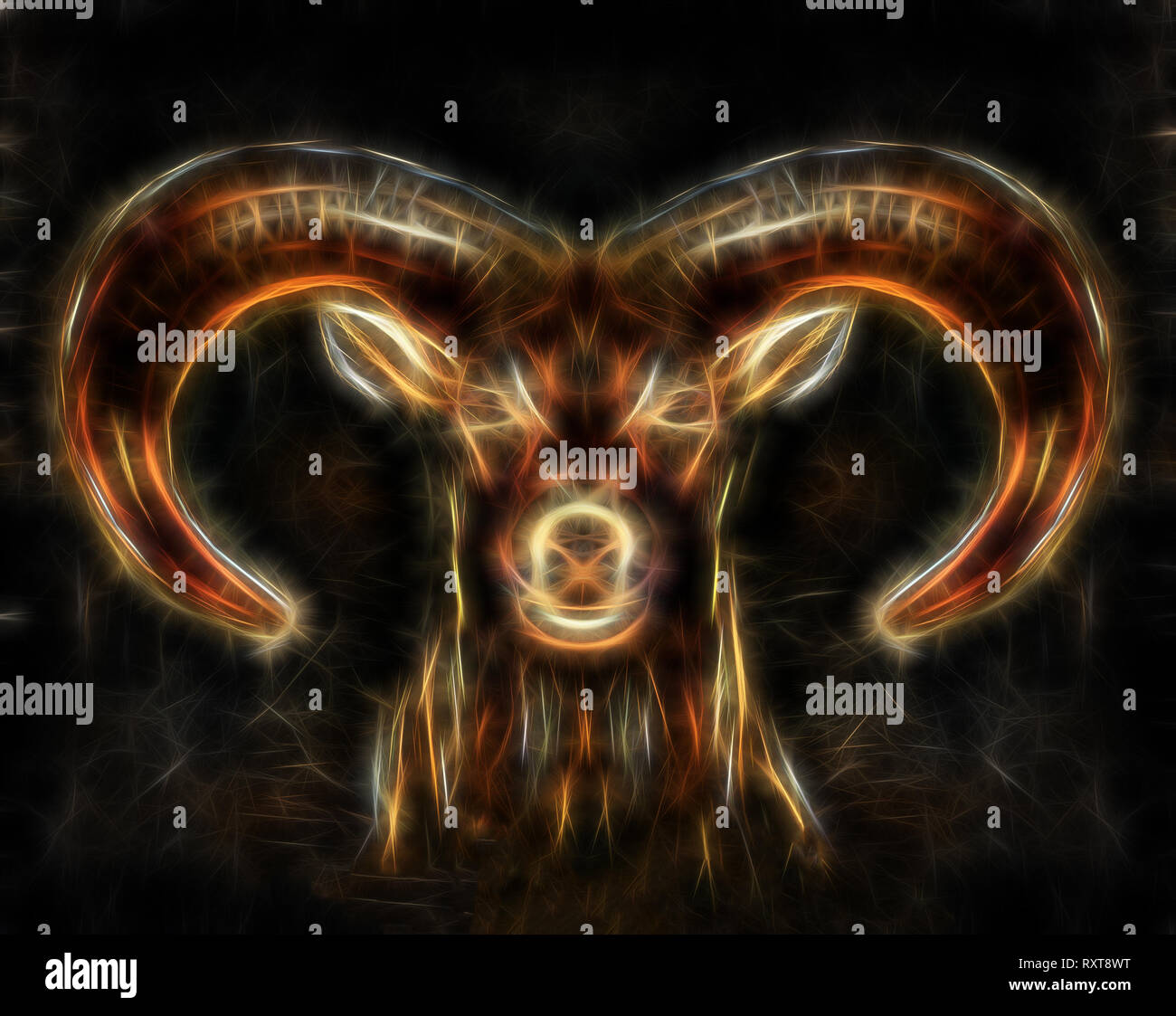 Fractal animals hi-res stock photography and images - Alamy