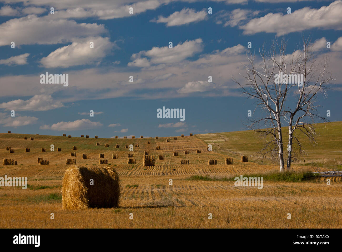 Dakota county hi-res stock photography and images - Alamy