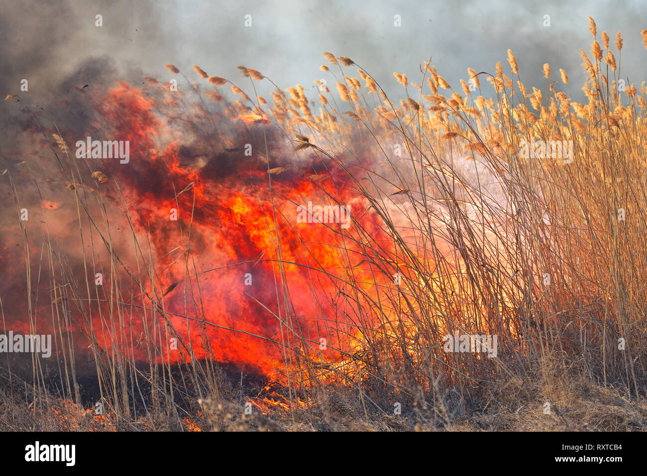 Accidental fire hi-res stock photography and images - Alamy