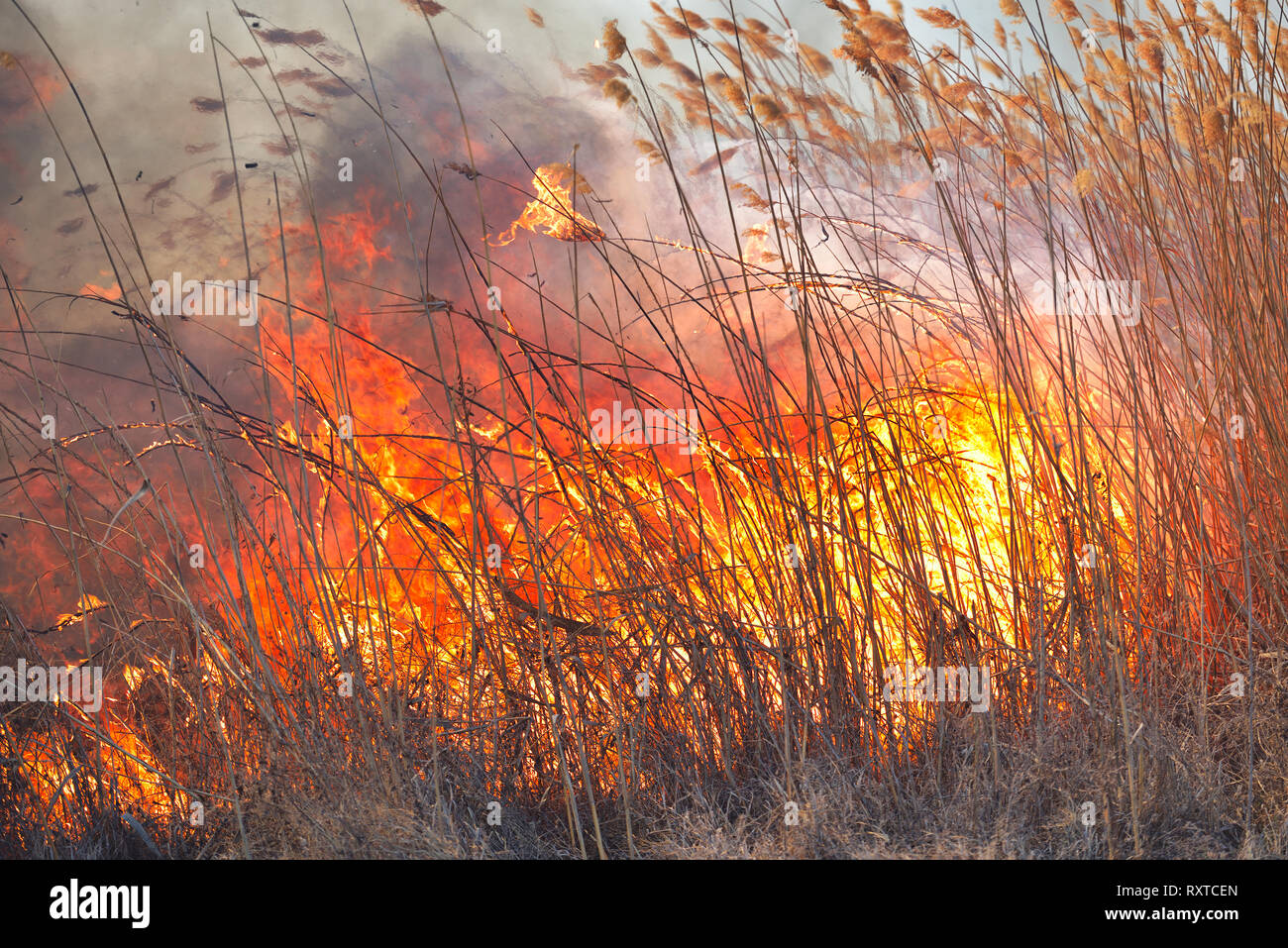 Danger disaster hi-res stock photography and images - Alamy