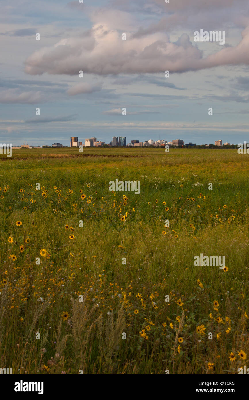 Downtown regina skyline saskatchewan canada hi-res stock photography ...