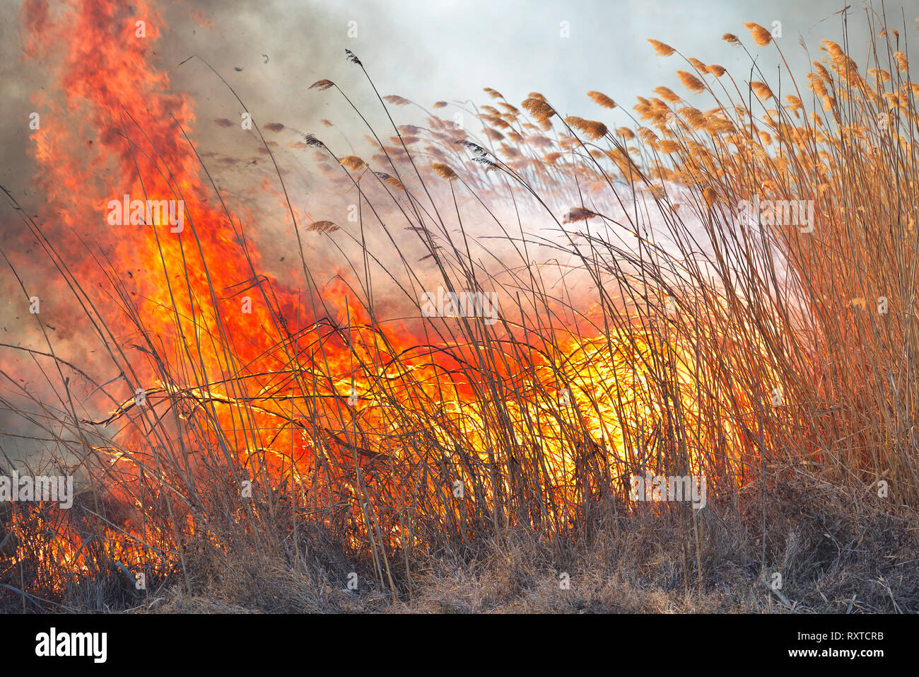 Big fire accident hi-res stock photography and images - Alamy
