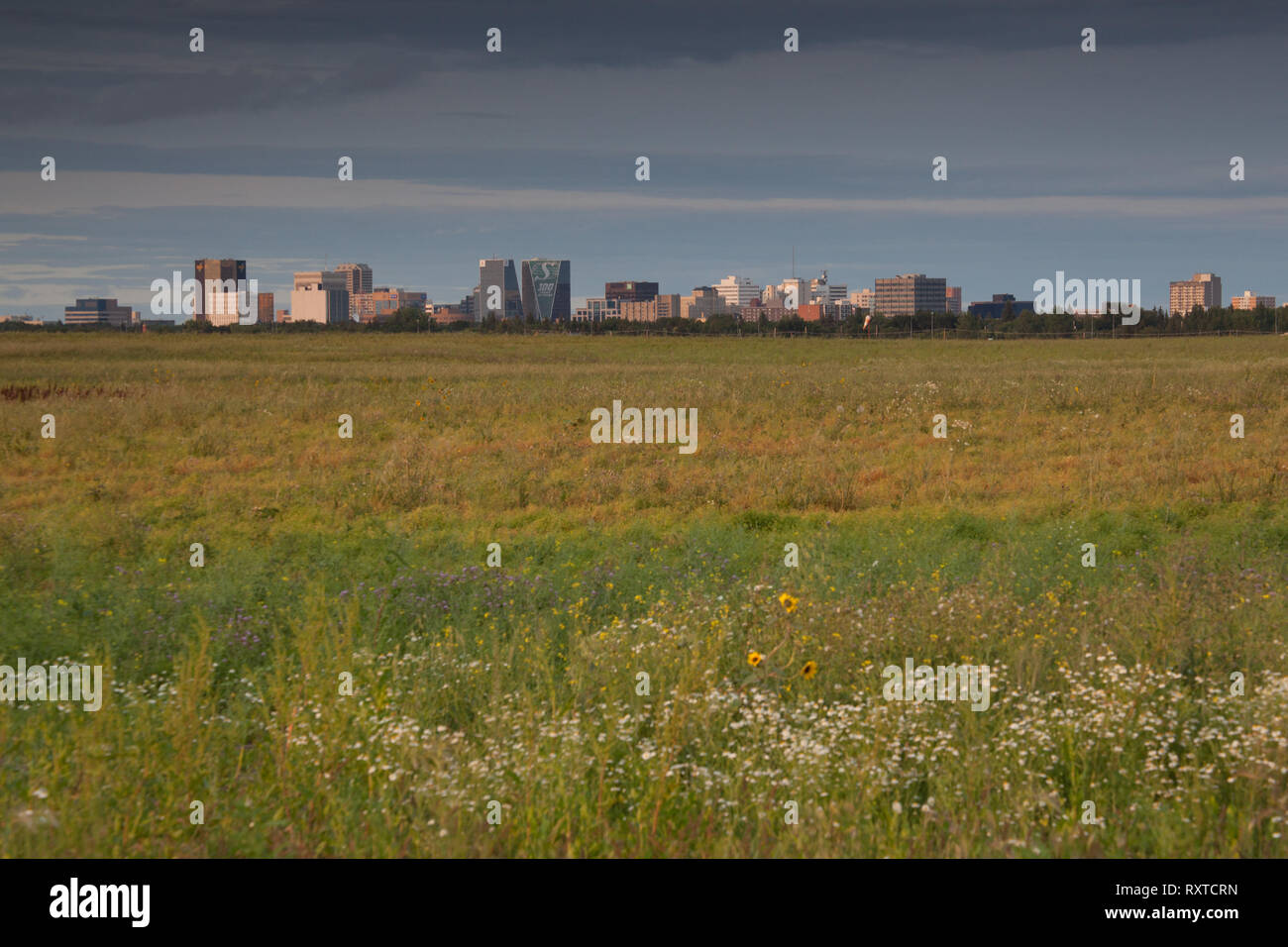 Regina skyline hi-res stock photography and images - Alamy