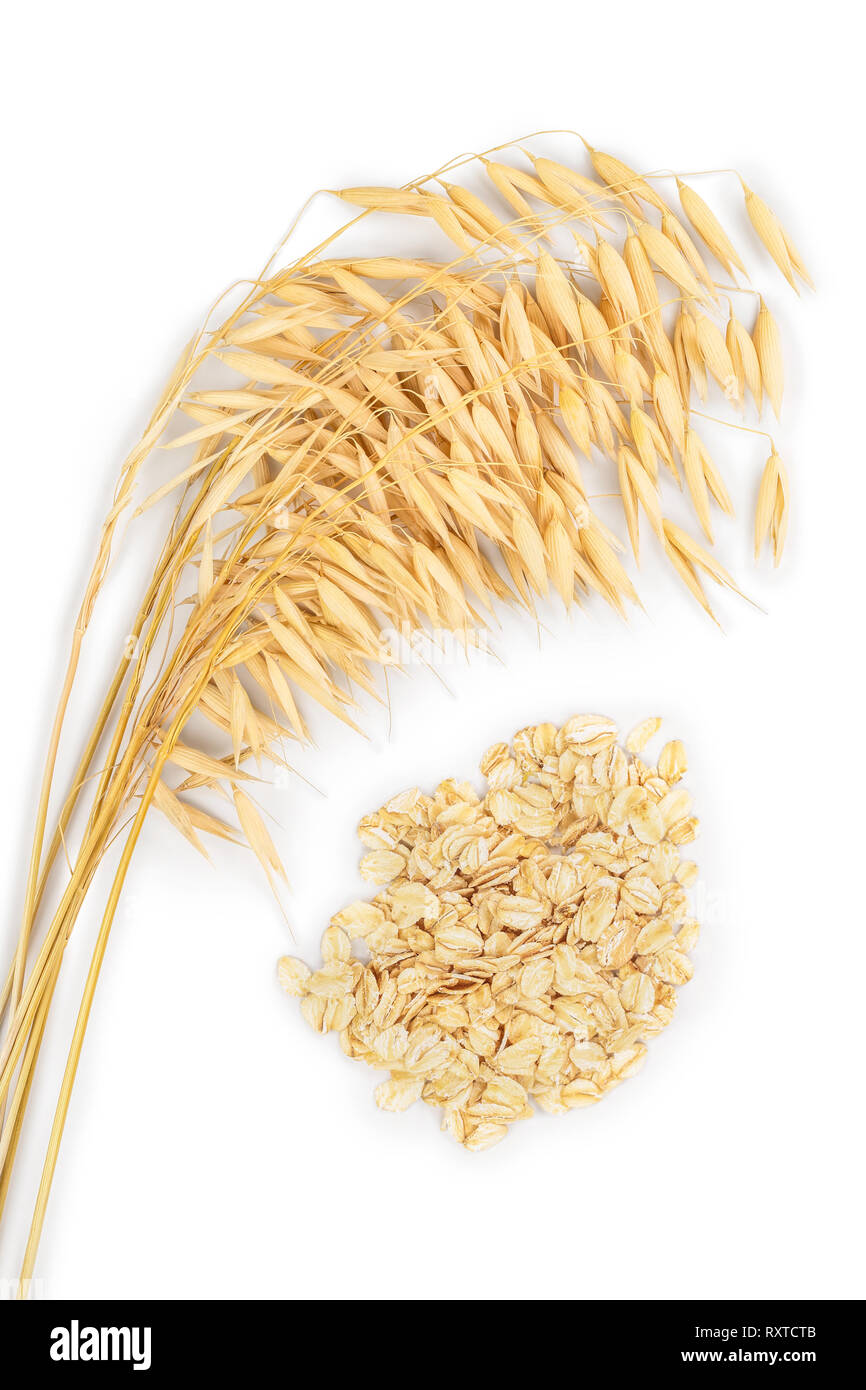 oat spike with oat flakes isolated on white background. Top view. Flat ...