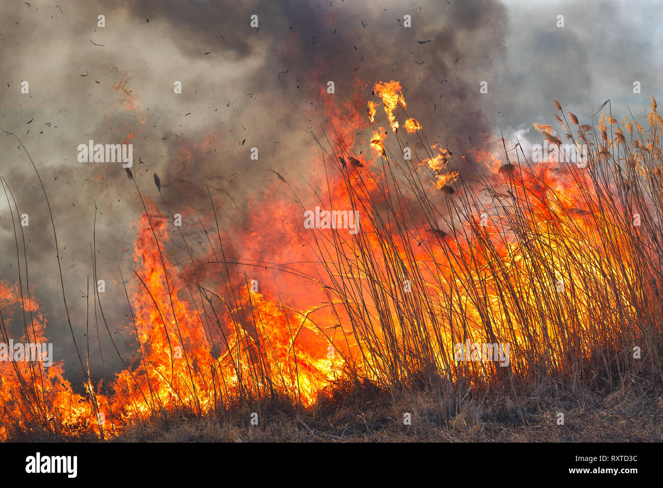 Black smoke during fire accident hi-res stock photography and images ...