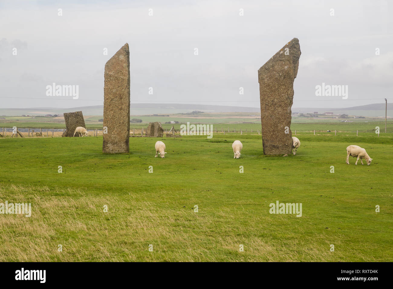 Neolithic Stones of Stenness Stock Photo - Alamy