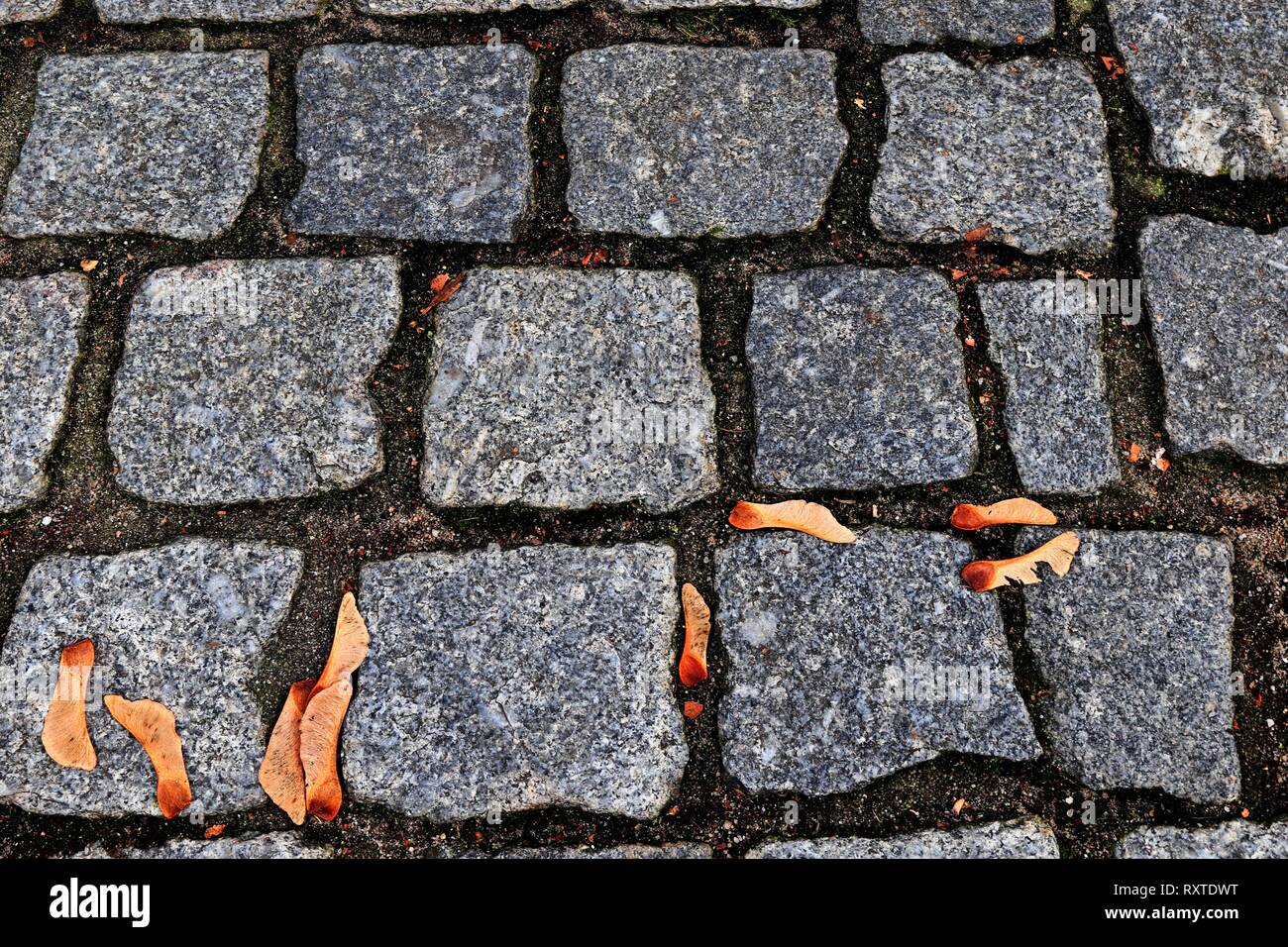 Close up view of different perspective on cobblestone ground surfaces ...