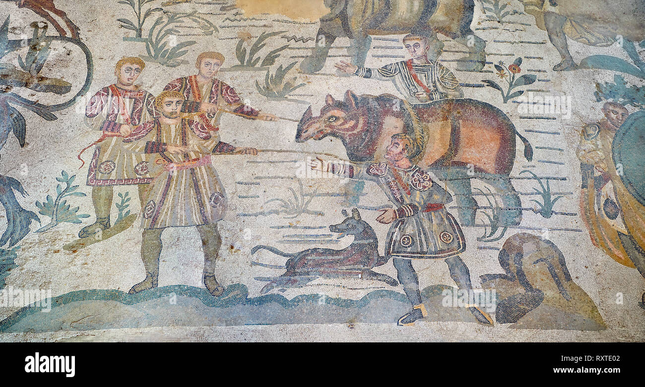 Ambulatory of the Great Hunt Roman mosaic, rhino being loaded onto a ...