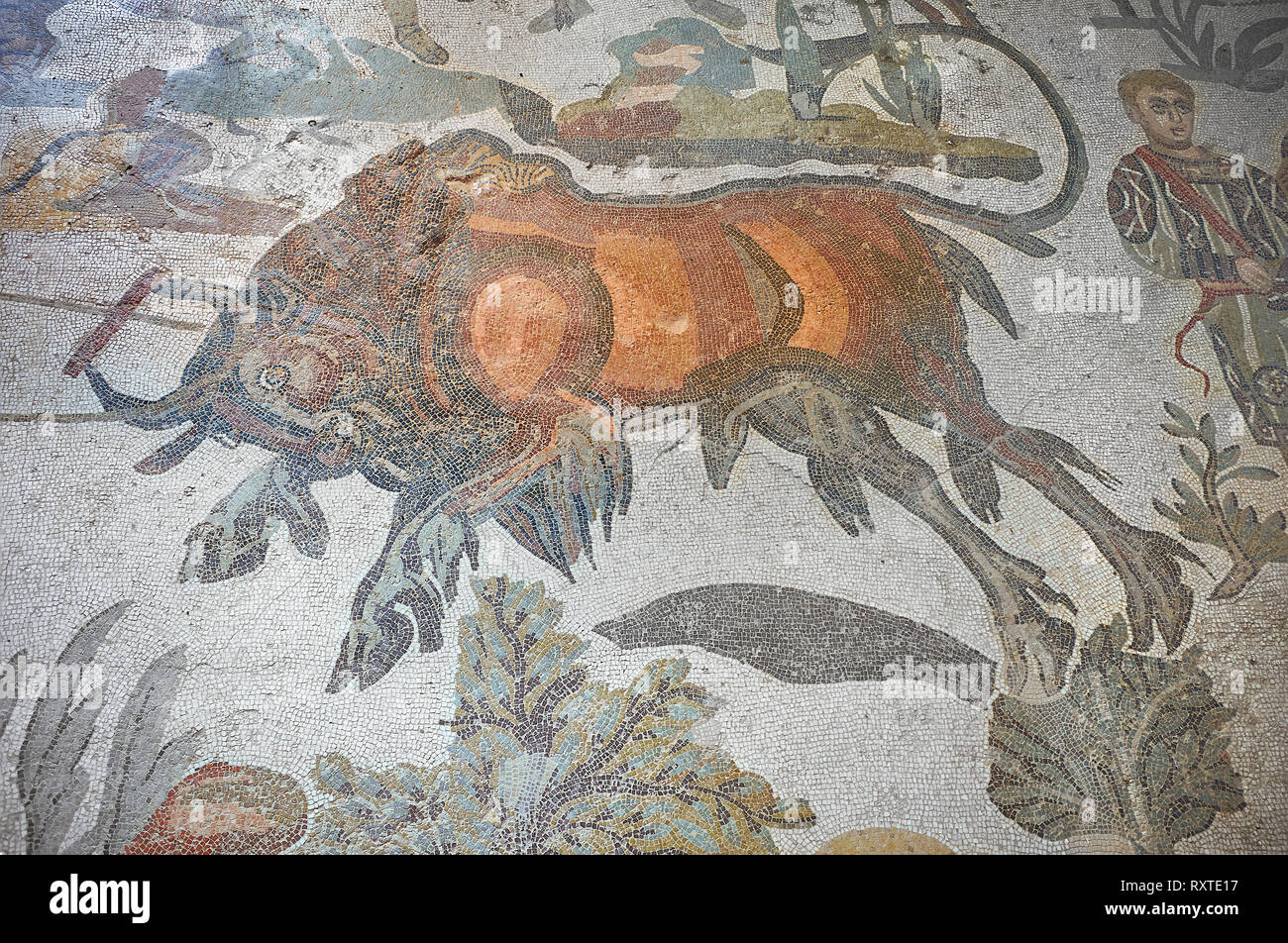 Ambulatory of the Great Hunt Roman mosaic, Wilder beast is loaded onto ...