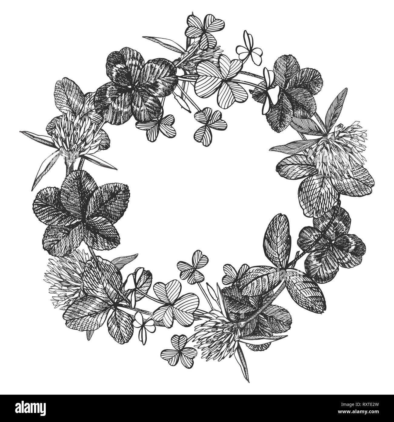 Clover illustrations. Set of hand drawn clover illustrations isolated ...