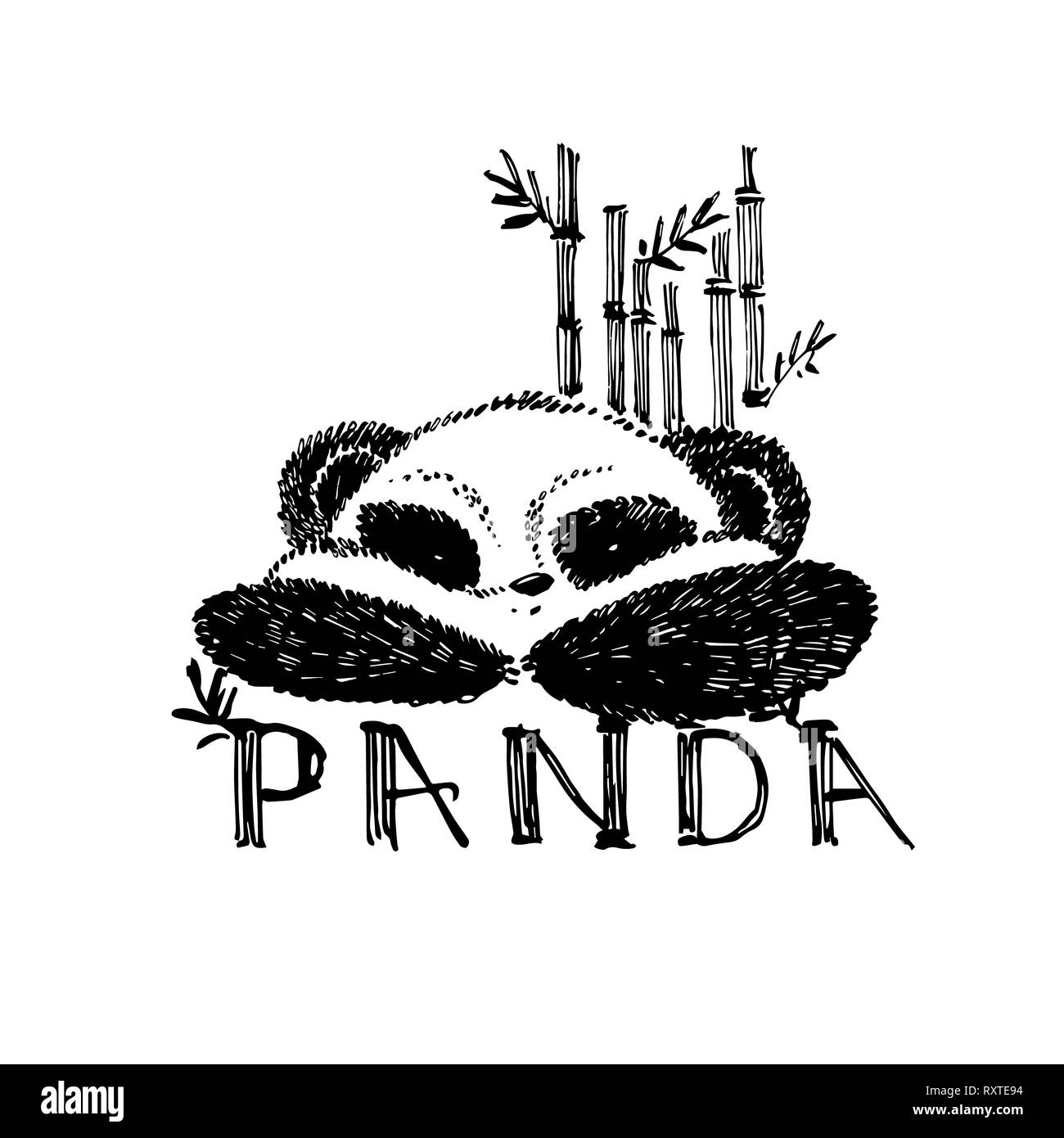 Hand drawn panda with bamboo. Graphic illustration isolated on white ...