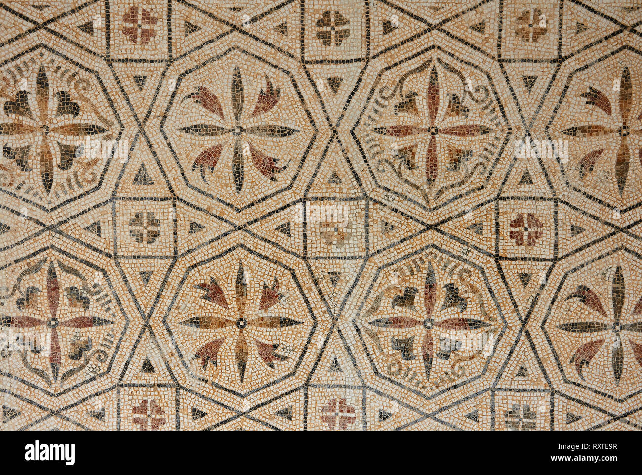 Pictures of a geometric crosses Roman mosaics design, from the ancient ...