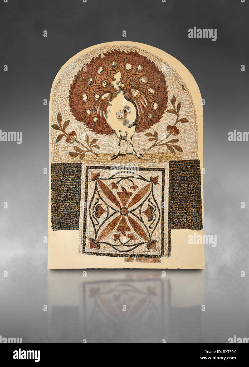 Pictures of an apse Roman mosaics design depicting a peacock spreading ...