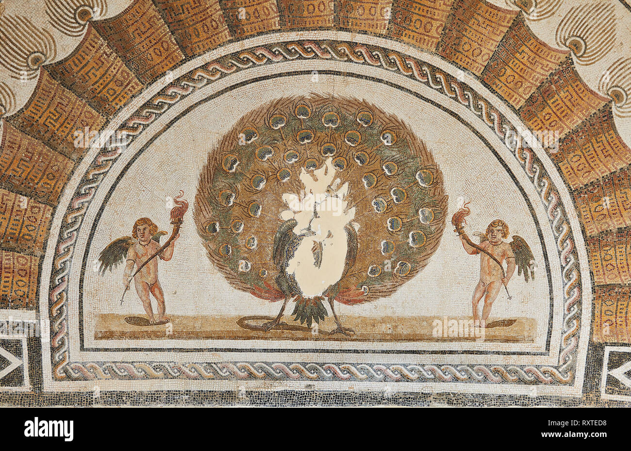 Pictures of an apse Roman mosaics design depicting a peacock spreading ...