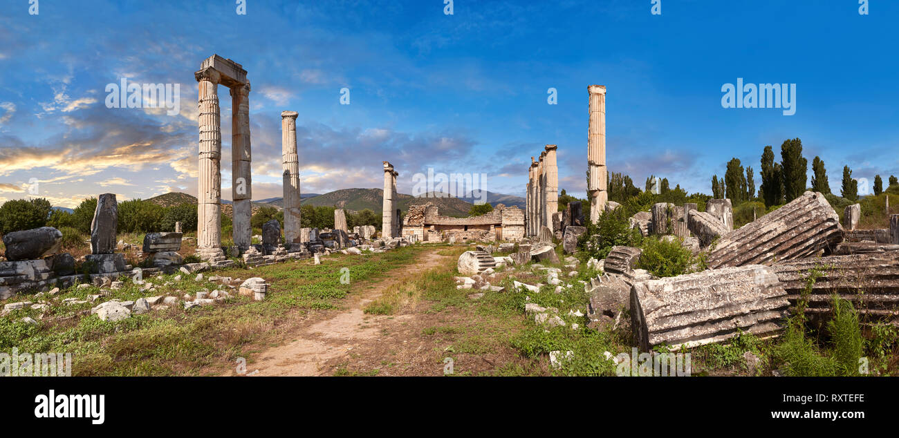 The Temple of Aphrodite at the centre of Aphrodisias. All that remains ...
