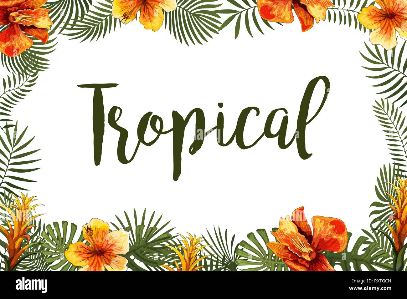 Summer Tropical Exotic Leaves and Branches composition with lettering ...