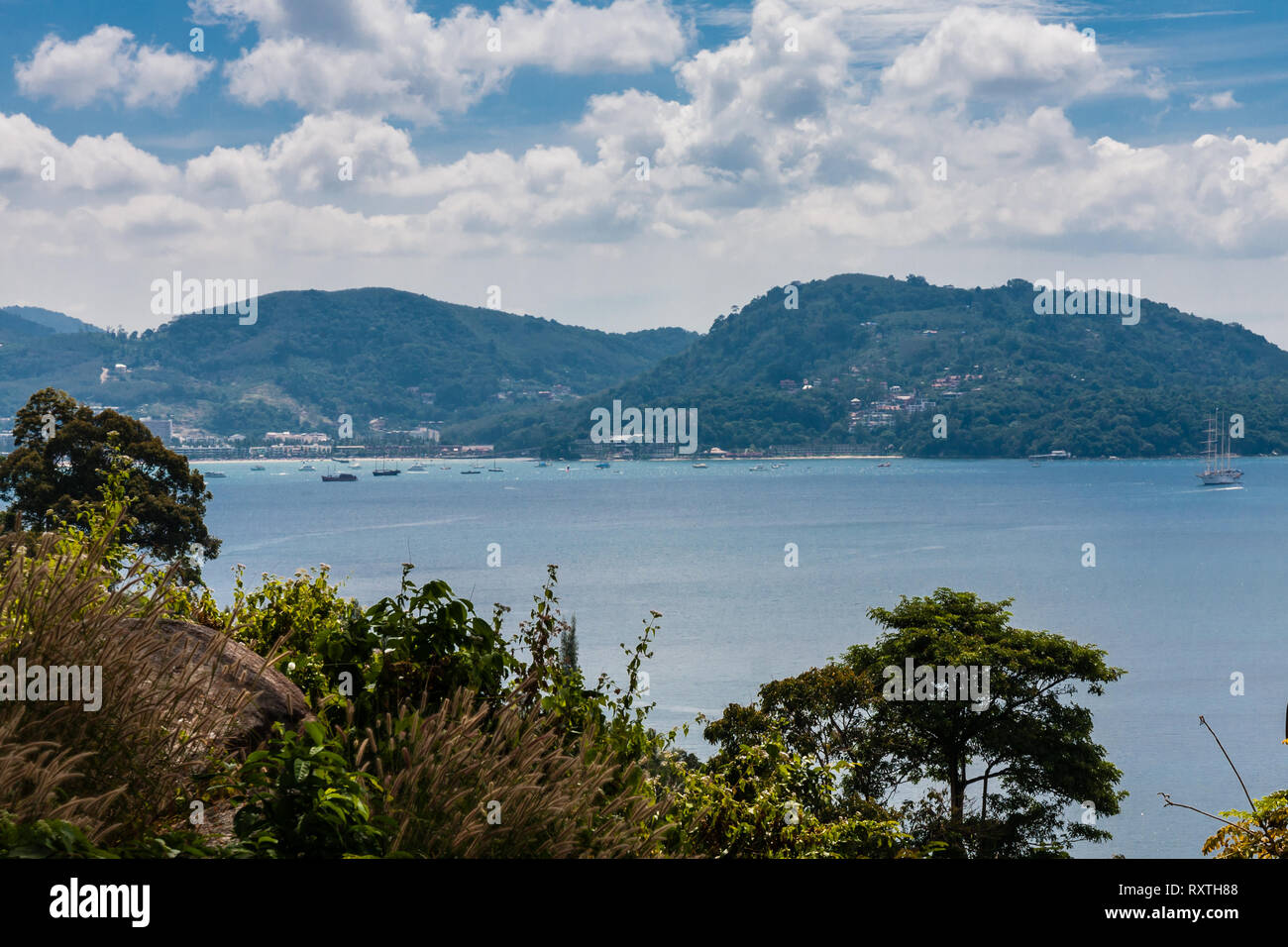 Phuket forest hi-res stock photography and images - Alamy