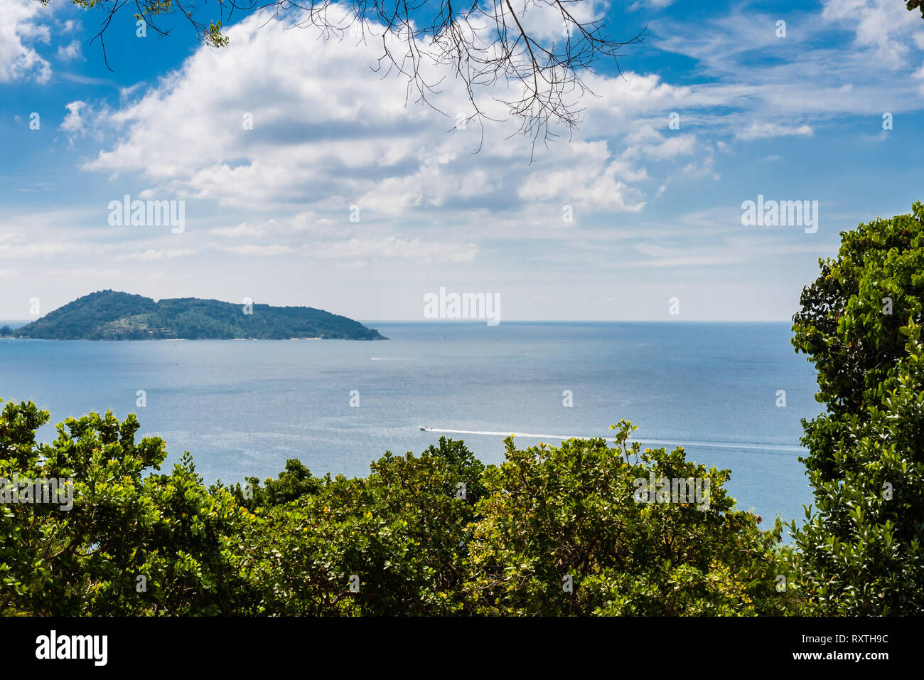 Phuket forest hi-res stock photography and images - Alamy
