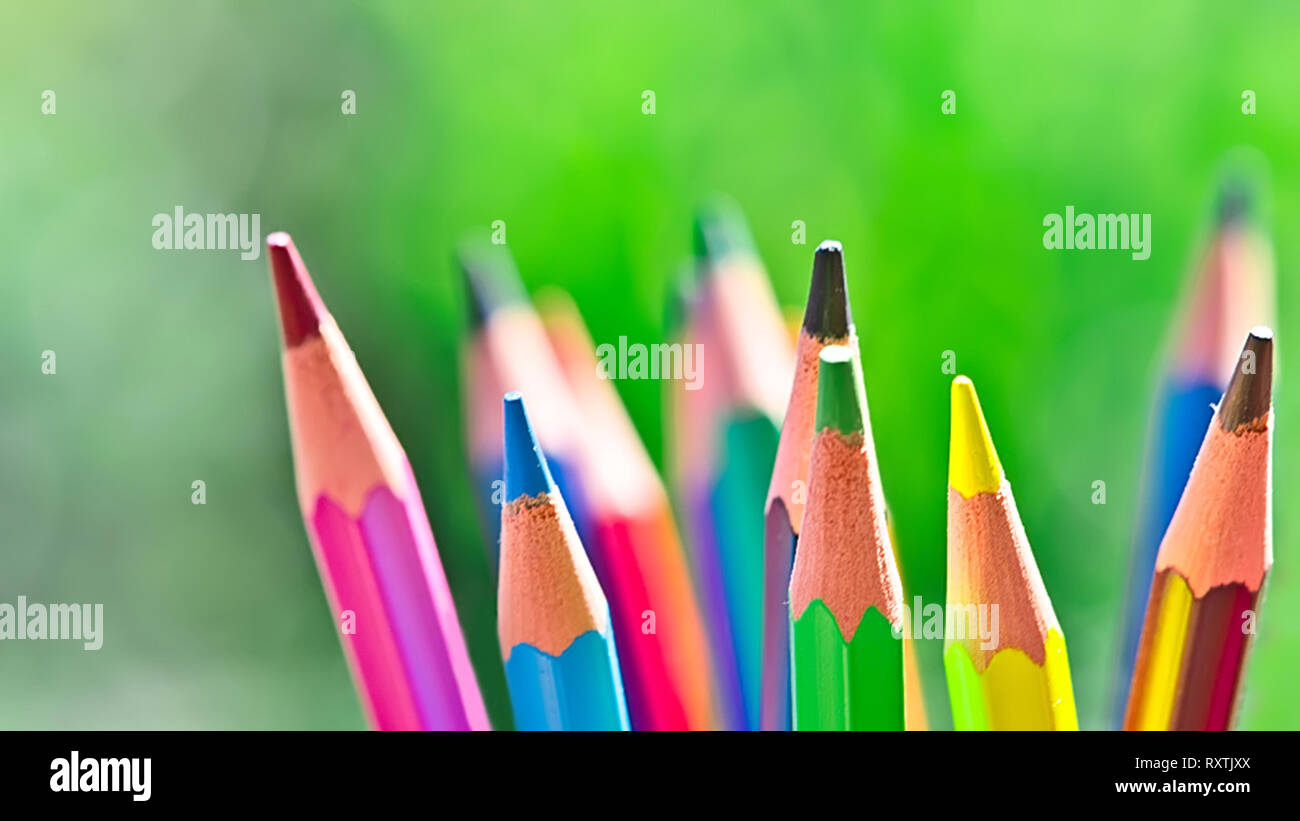 colorful wooden crayons on a light green background, partially blurred ...