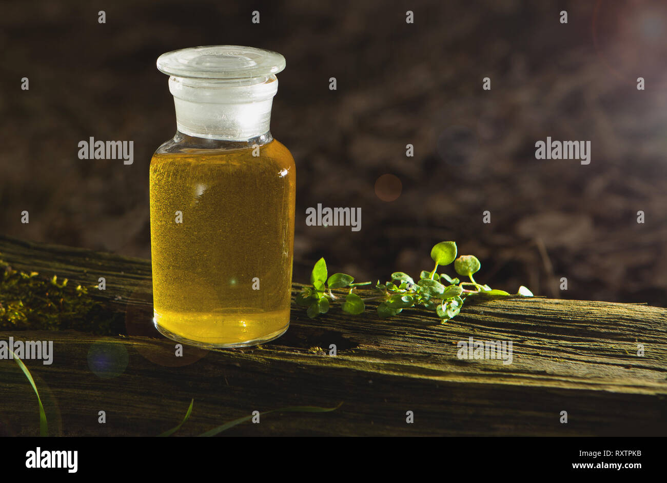 Extract of herbs hi-res stock photography and images - Alamy