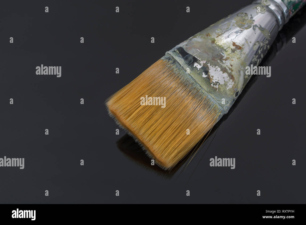 Large (wide) acrylic watercolour paintbrush / paint brush on reflective ...