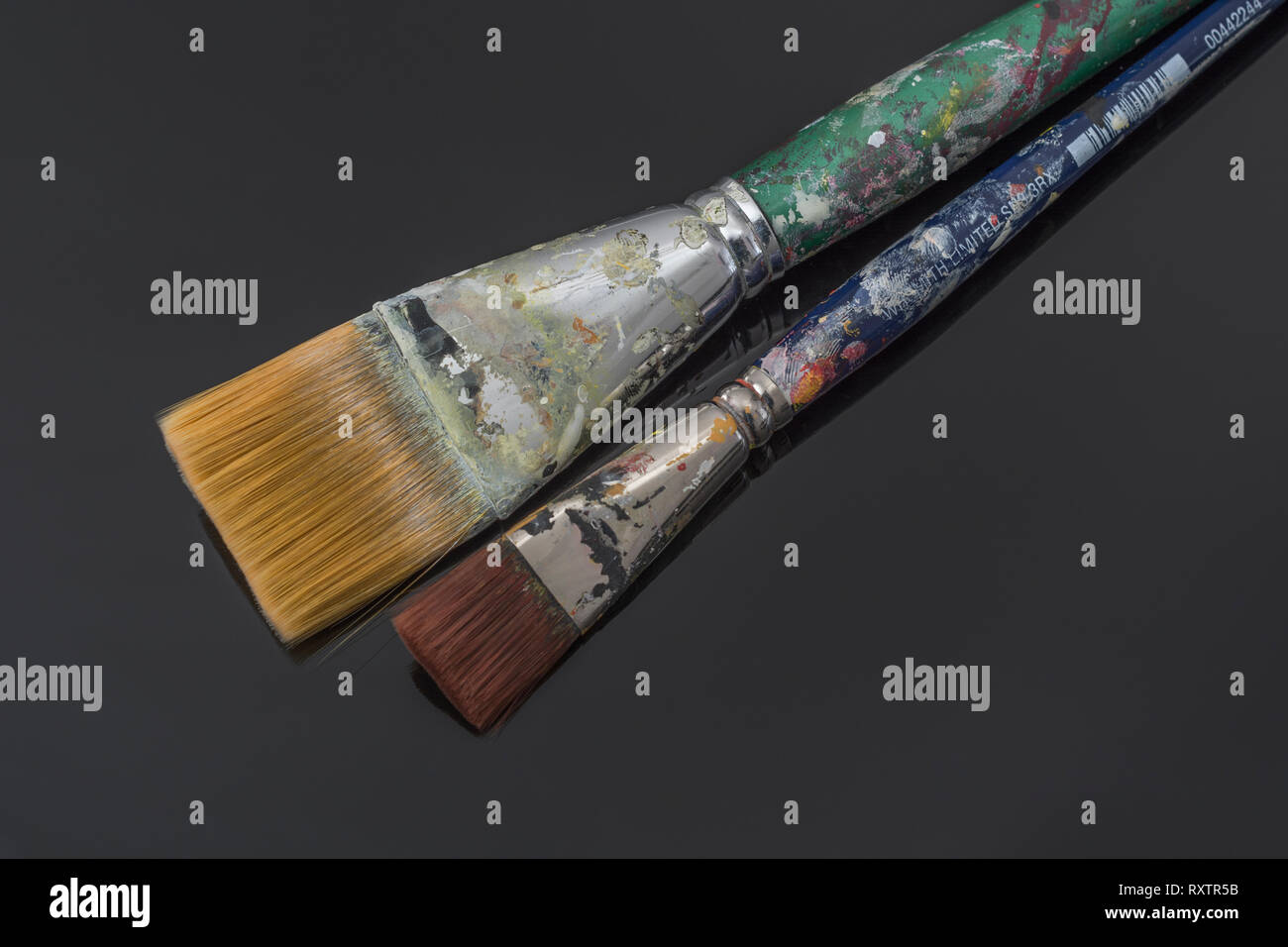 Large (wide) acrylic watercolour paintbrushes / paint brushes on ...