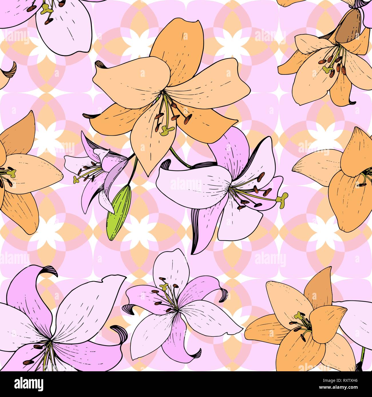 Vector Lily floral botanical flower. Engraved ink art. Seamless ...