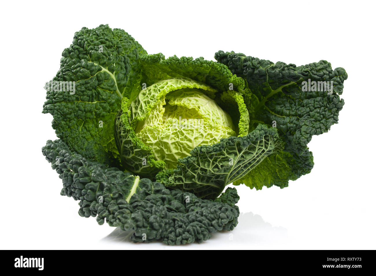 green cabbage on white Stock Photo - Alamy