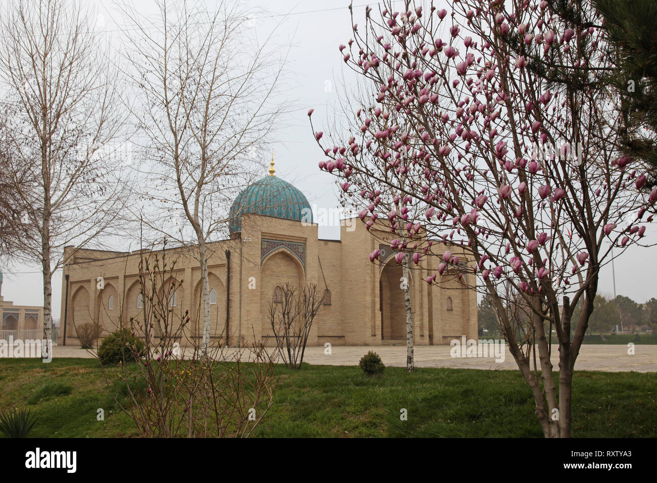 Dzhuma Mosque in Uzbekistan, Tashkent Stock Photo - Alamy