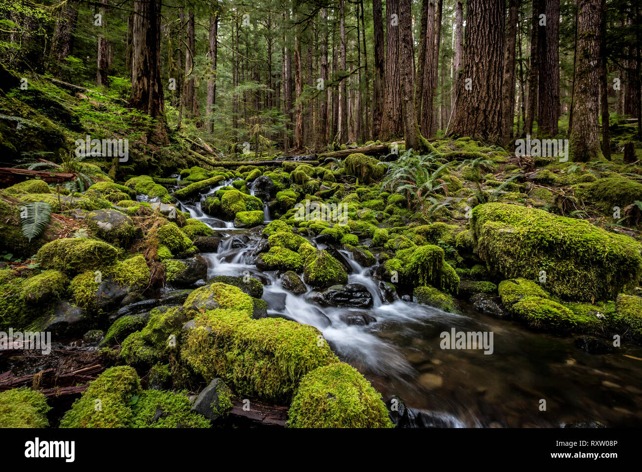 Sol duc hi-res stock photography and images - Alamy