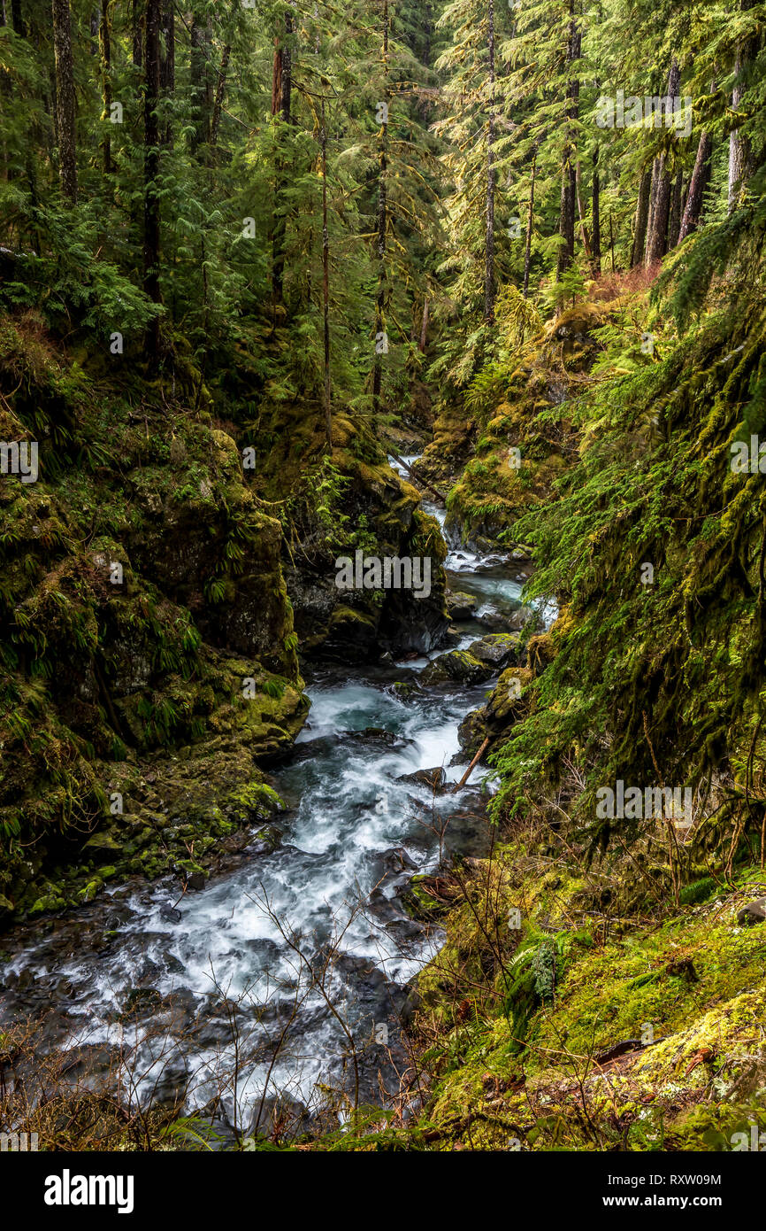 Sol Duc High Resolution Stock Photography and Images - Alamy