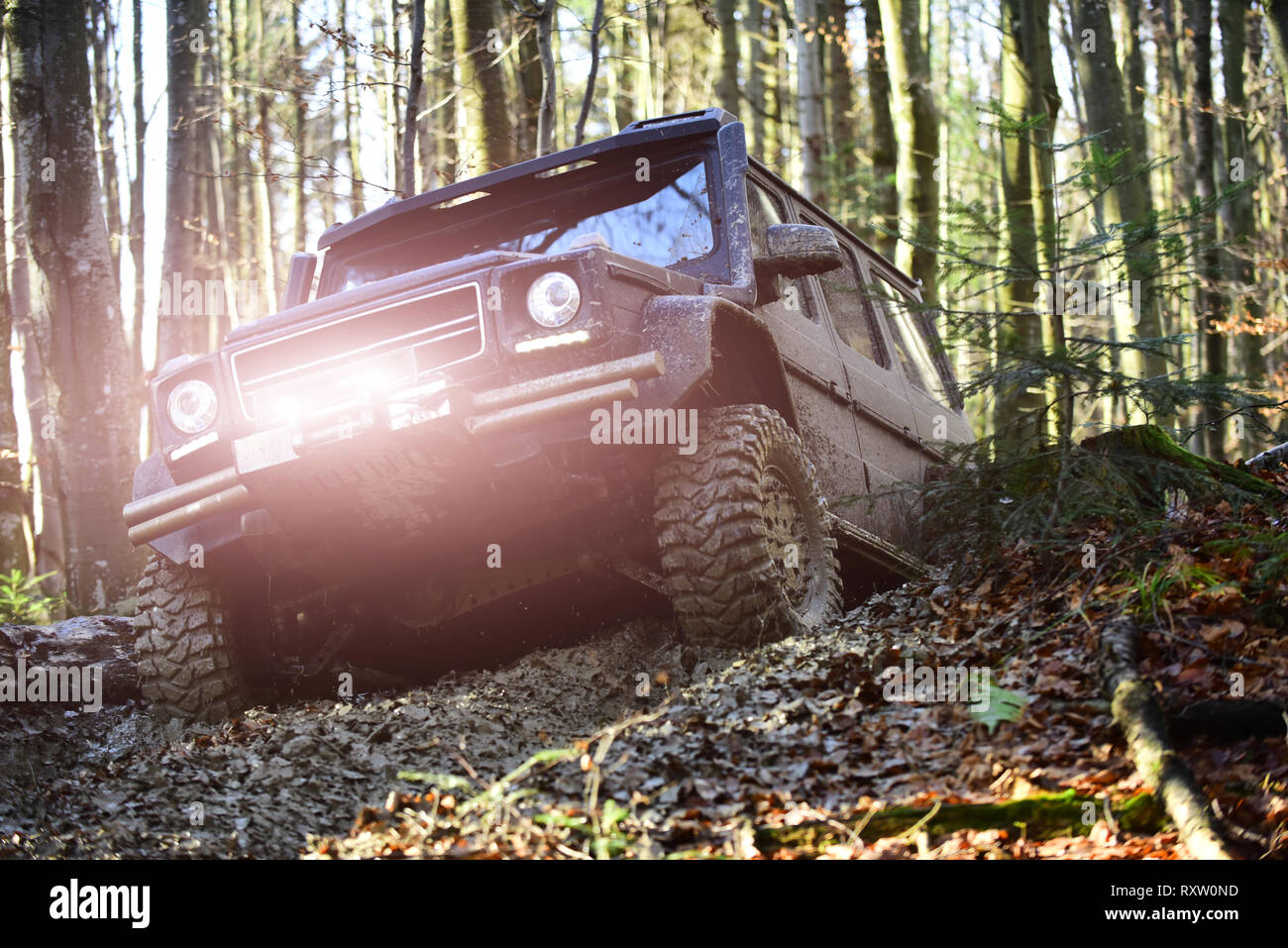 Offroad race on fall nature background. Sport utility vehicle or SUV ...