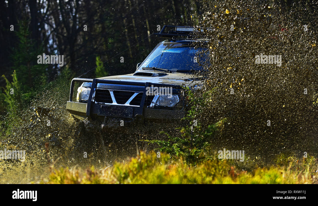 4x4 dirt track forest driving hi-res stock photography and images - Alamy