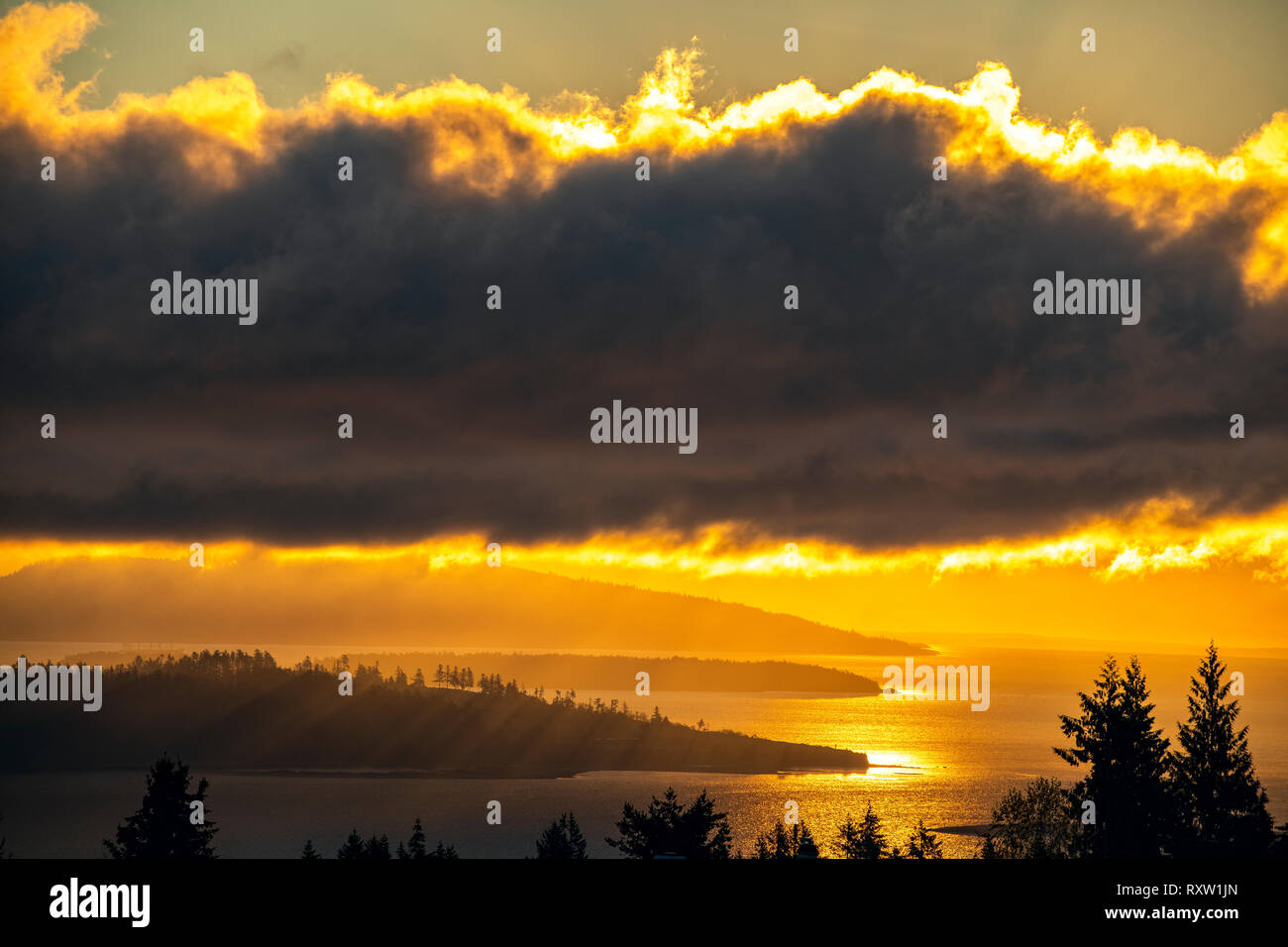 Salish Sea / Bazan Bay, North Saanich, Vancouver Island, BC, Canada ...