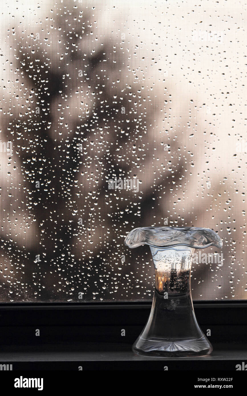 A vase in a window sill, against a backdrop of rain drops, reflects ...
