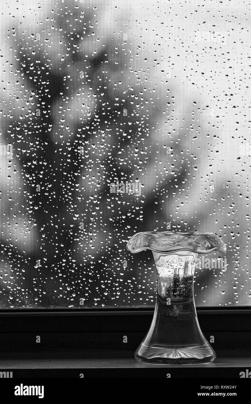 A vase in a window sill, against a backdrop of rain drops, reflects ...