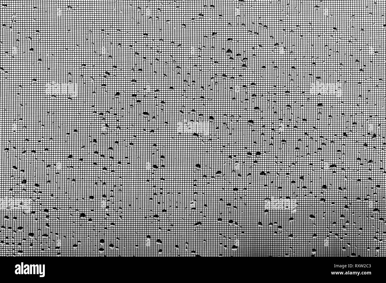 Form windows Black and White Stock Photos & Images - Alamy