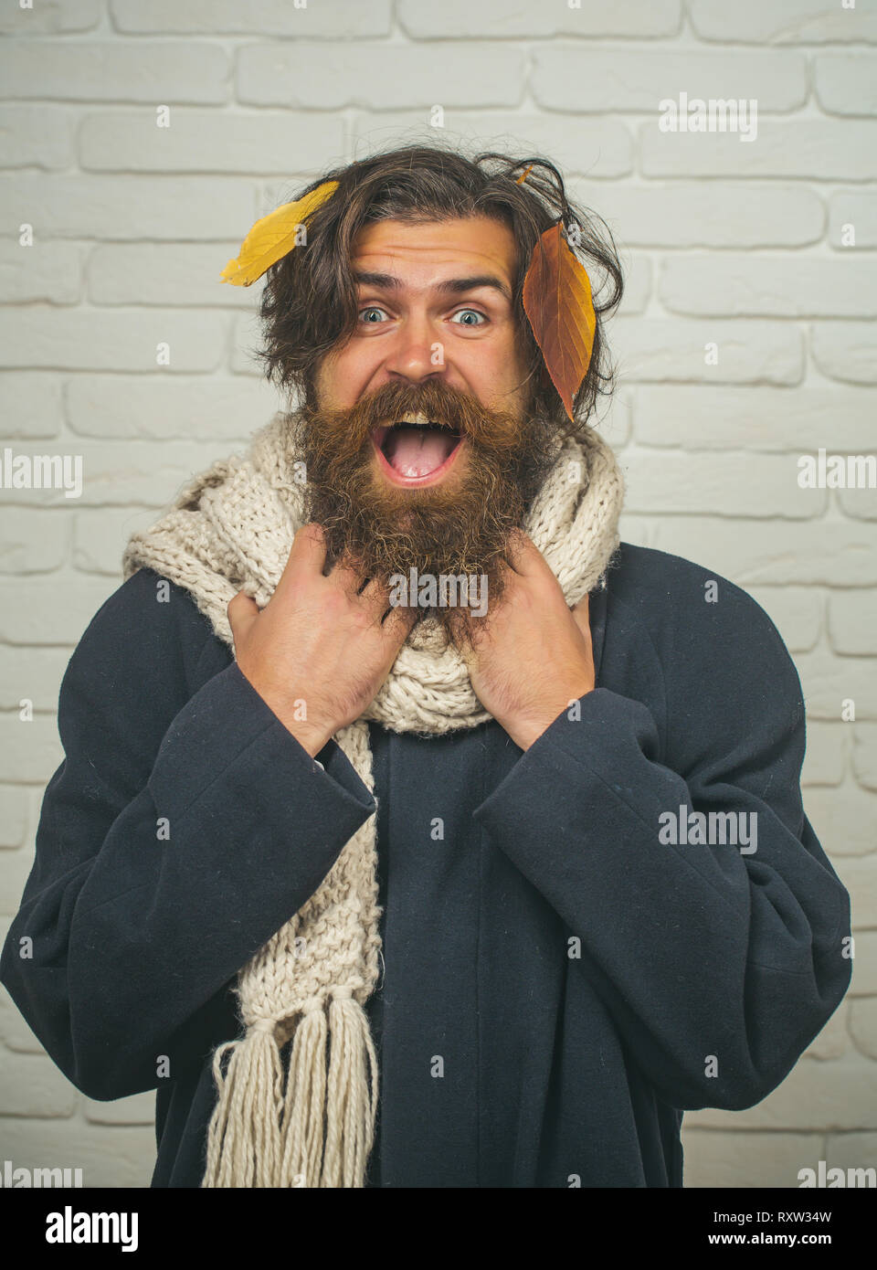Guy with long beard at brick wall in fall Stock Photo - Alamy