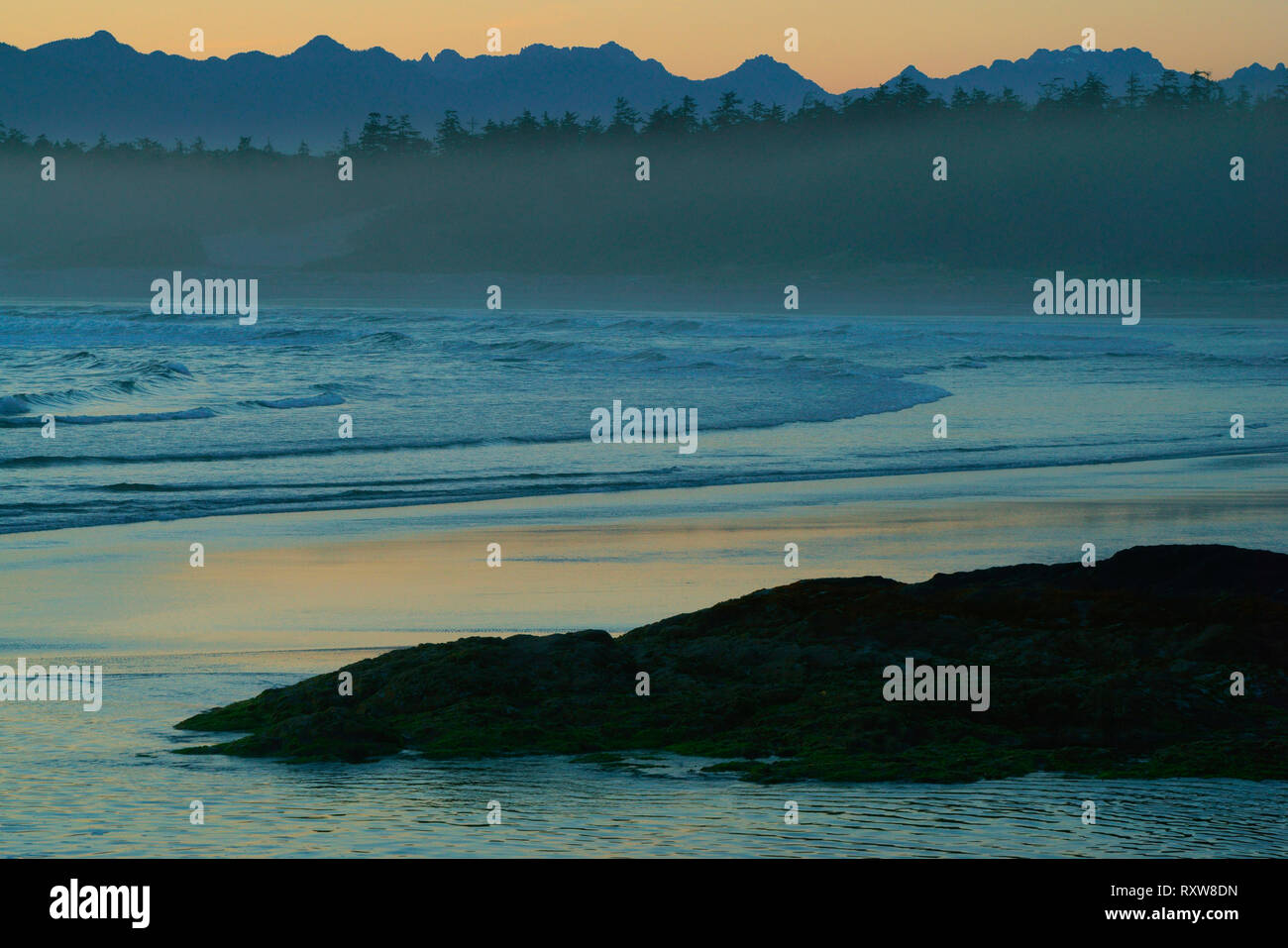 Long beach view hi-res stock photography and images - Alamy