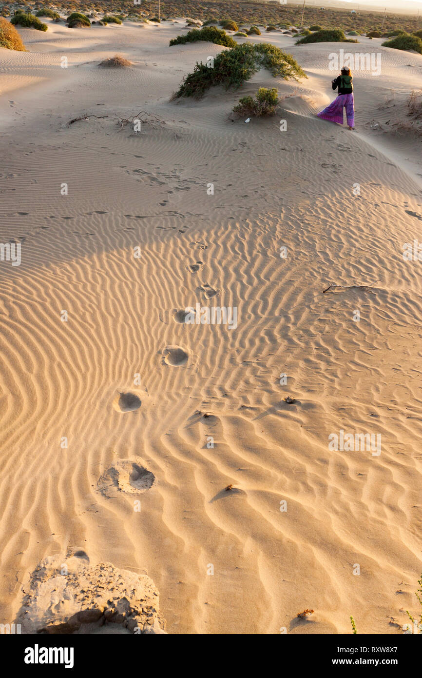 Features sand dunes of the bay. Famara, Lanzarote. Spain Stock Photo ...