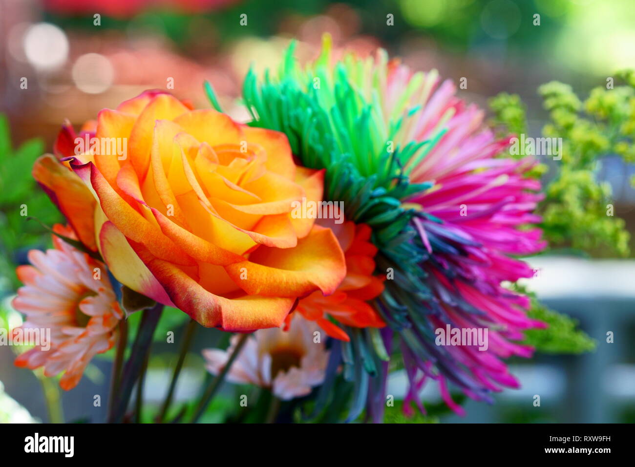 Nice and beautiful bouquet of colourful flowers outside during the day ...