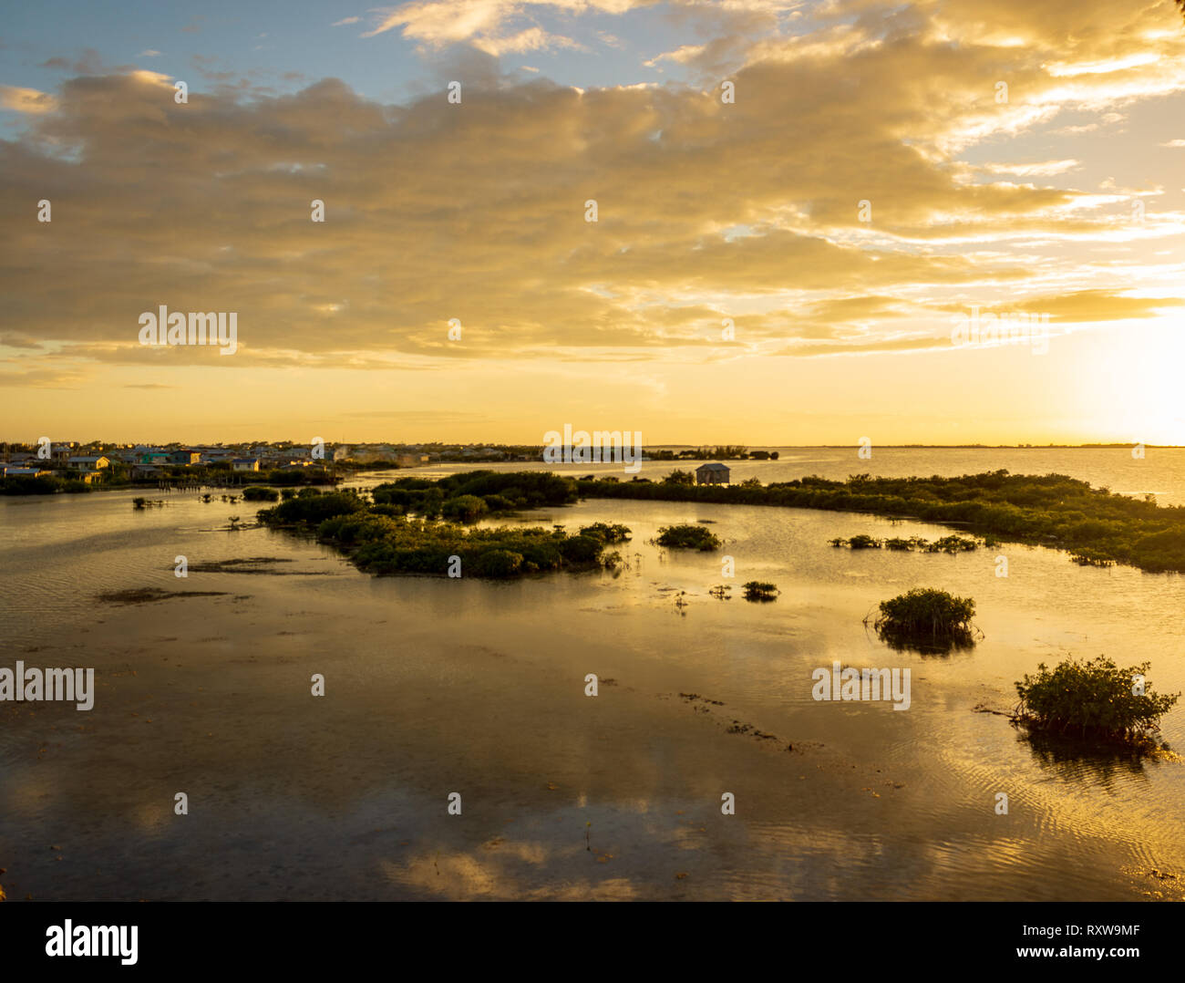 San Pedro, Ambergris Caye, Belize at sunset with the mangroves in the ...