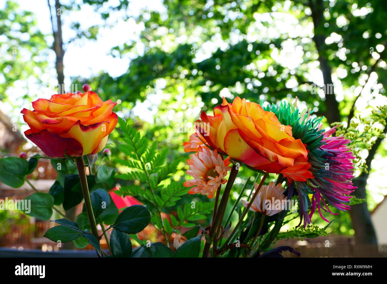 Nice and beautiful bouquet of colourful flowers outside during the day ...
