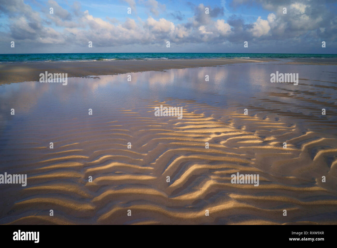 Andros island the bahamas hi-res stock photography and images - Alamy
