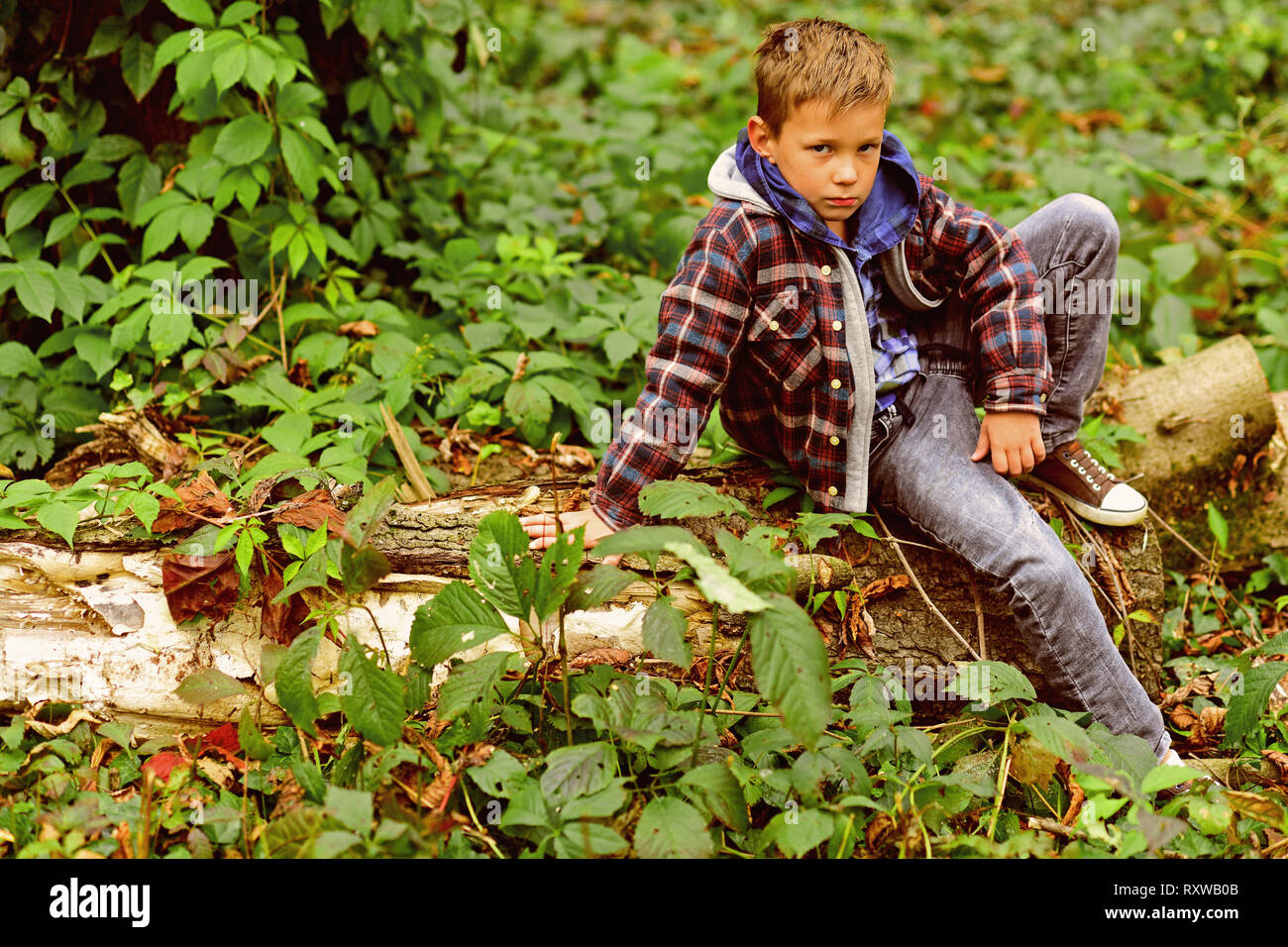 Relaxed and peaceful. Little boy relax sitting on tree. Little boy ...