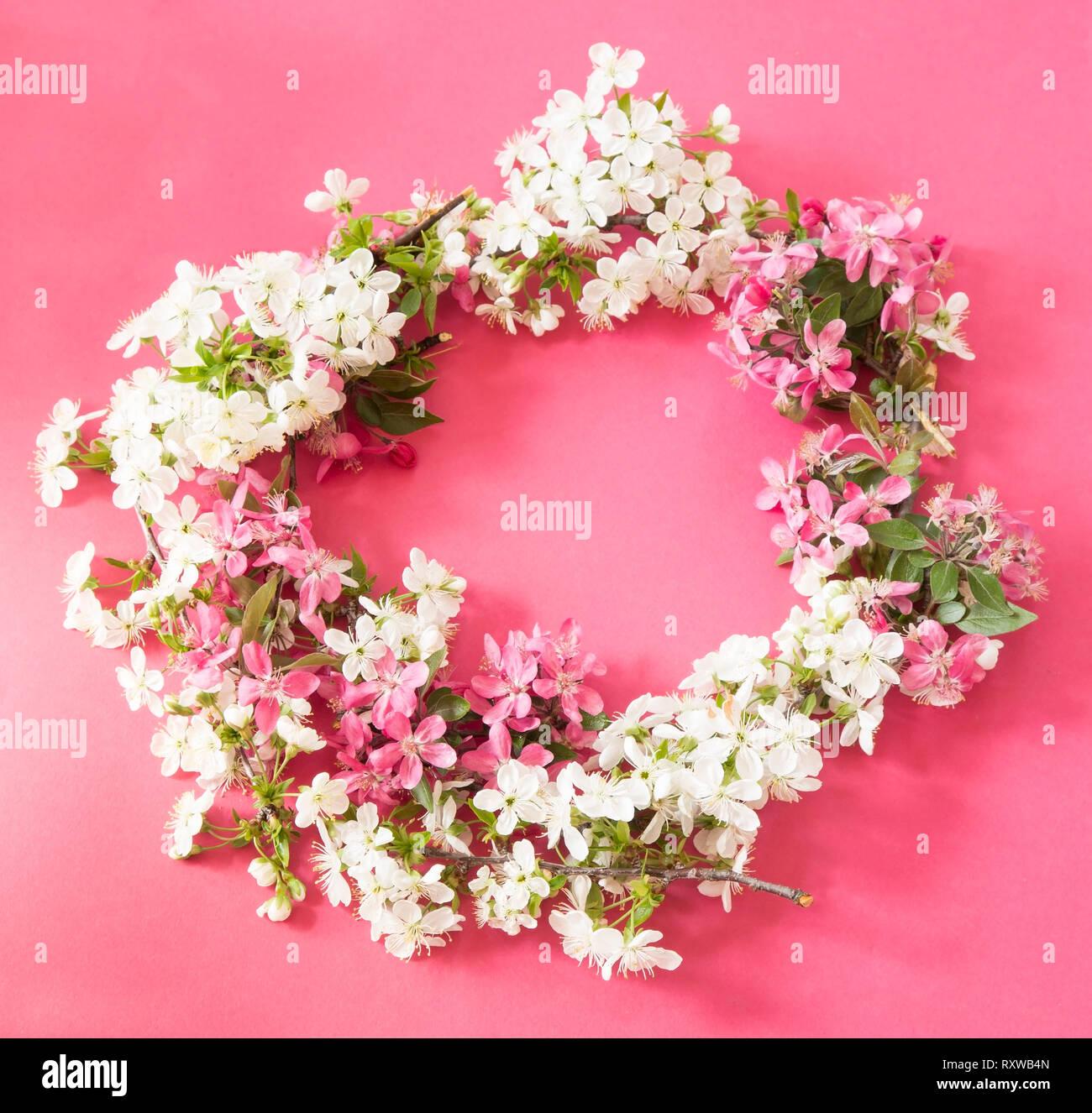 White wreath cherry blossom hi-res stock photography and images - Alamy