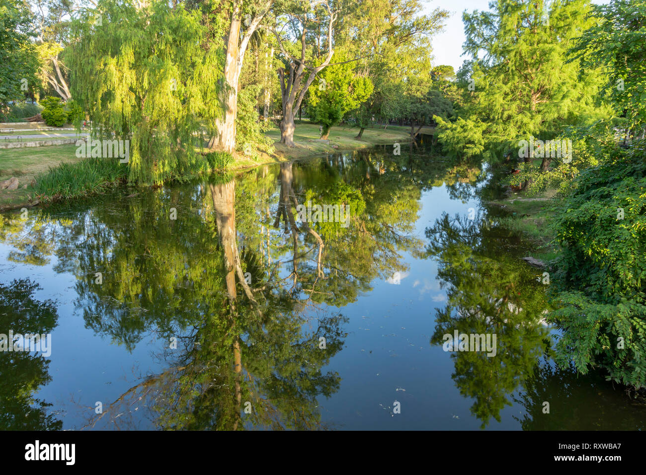 Green trees reflection at Sarmiento Park, Cordoba, Argentina Stock ...