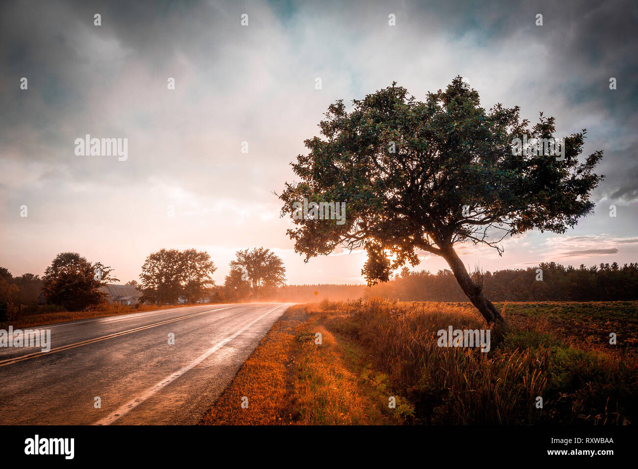 Roadside apple tree hi-res stock photography and images - Alamy