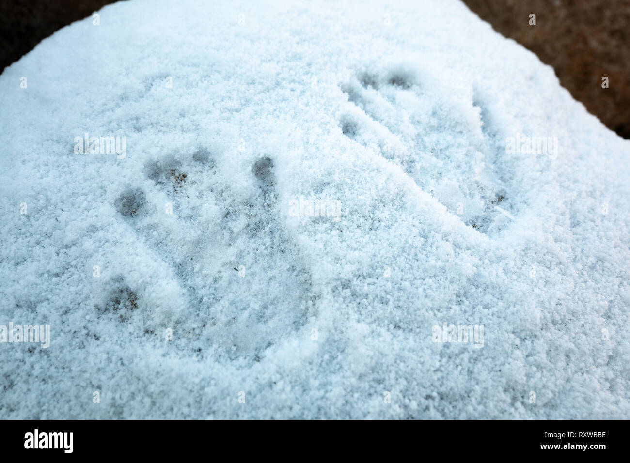 Famous Hand Prints High Resolution Stock Photography and Images - Alamy