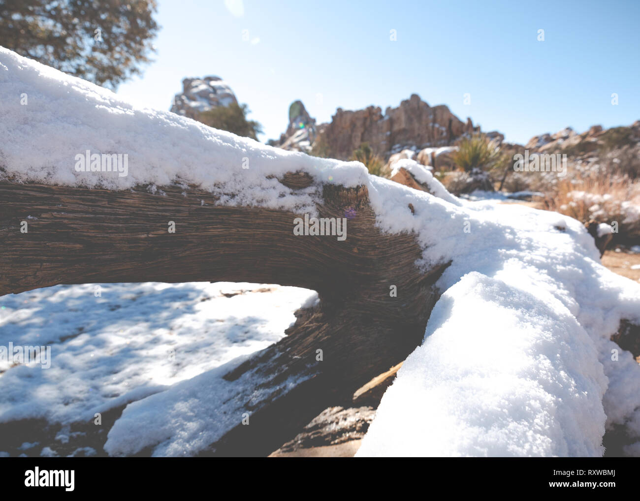 Log in desert hi-res stock photography and images - Alamy